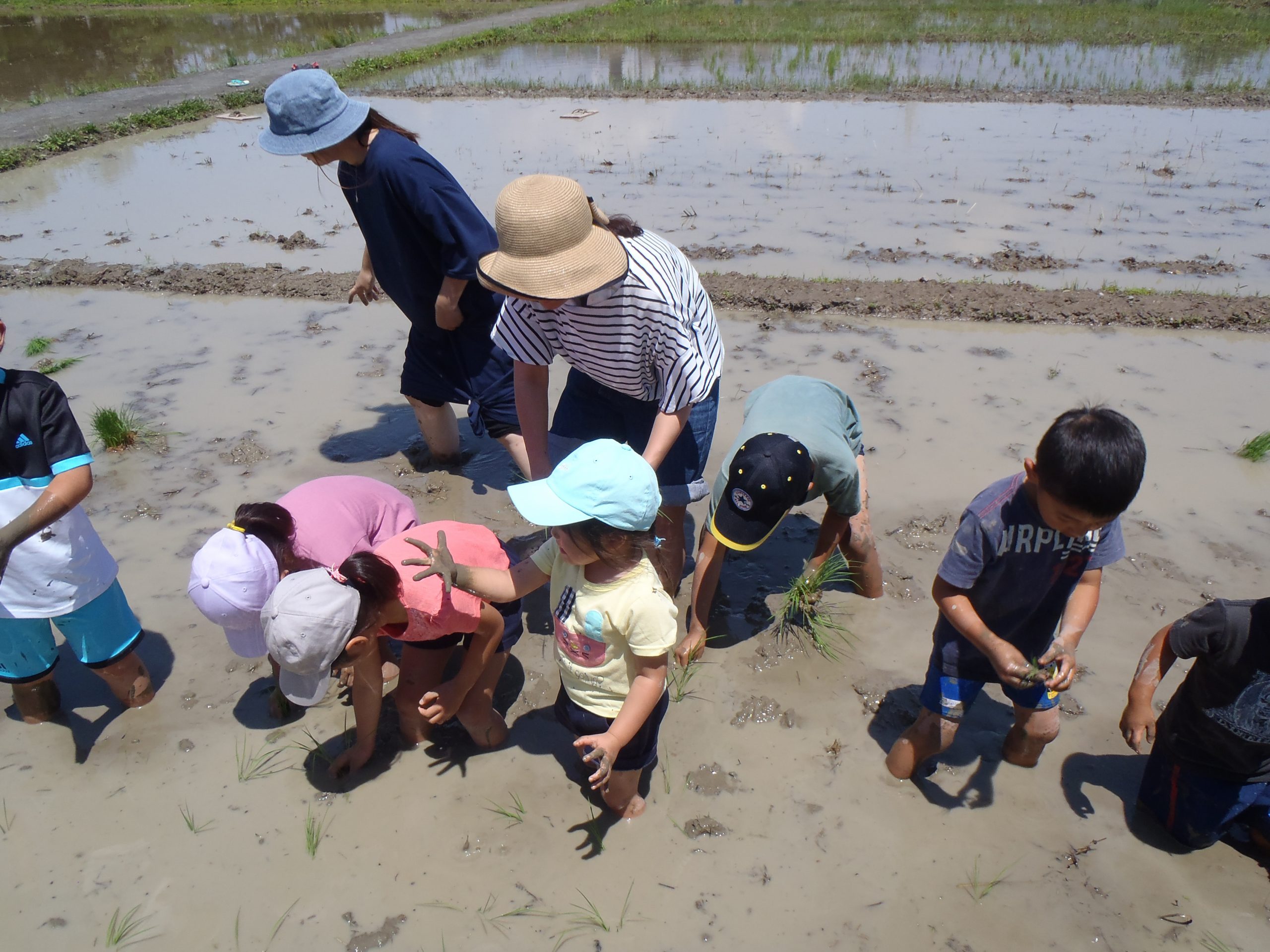 田植え・田下駄体験 ｜ 静岡市立登呂博物館